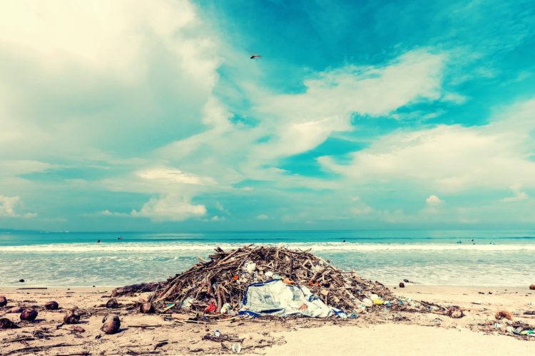 Effective Waste Management: For a better Environmental Future | LexPractis